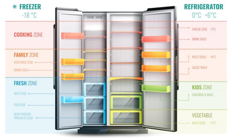 Refrigerator Storage Chart and Guidelines: Where to Place your Food in ...