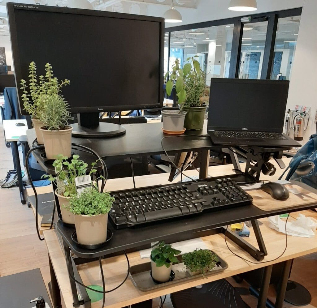 Top 10 Tips to Make the Most of Your Home Working Setup - HouseAffection